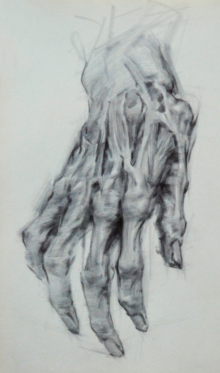 Figure Drawing Basics: Dan Thompson on Drawing Cadavers - Realism Today