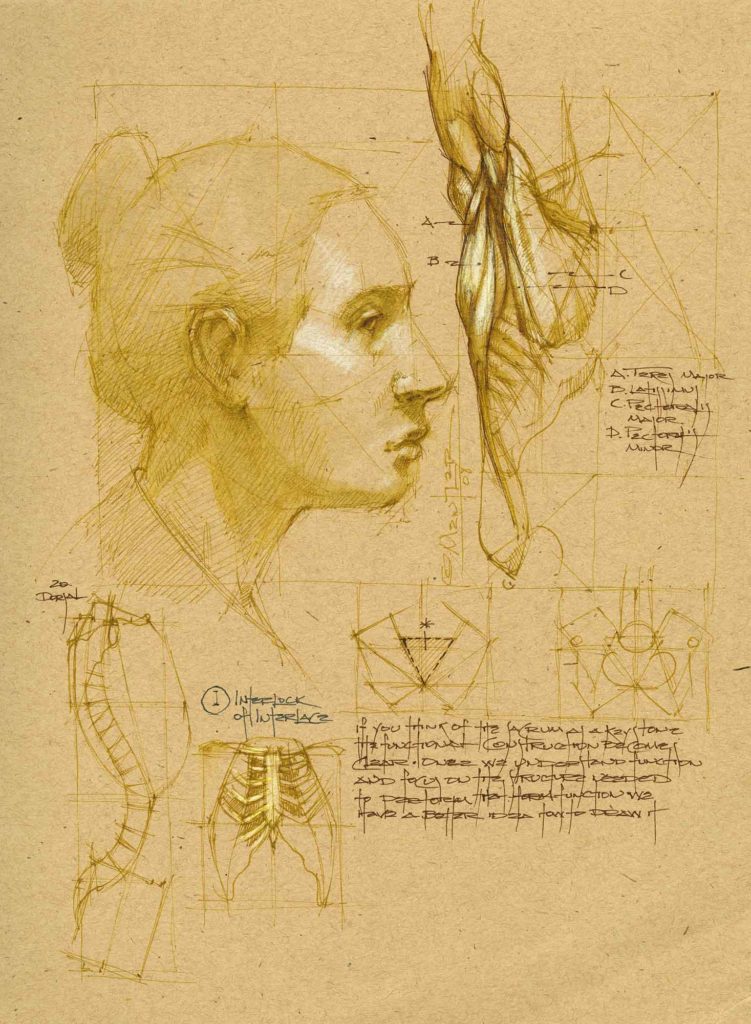 Drawing the Figure: Heads, Hands, and Feet - Realism Today