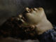 Masters of Shadow and Makers of Light - Realism Today