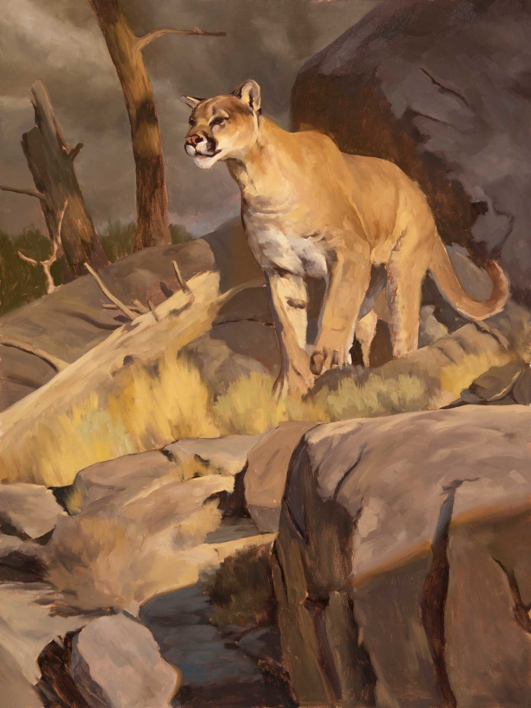 An Artist’s Romance with the Wild - Realism Today