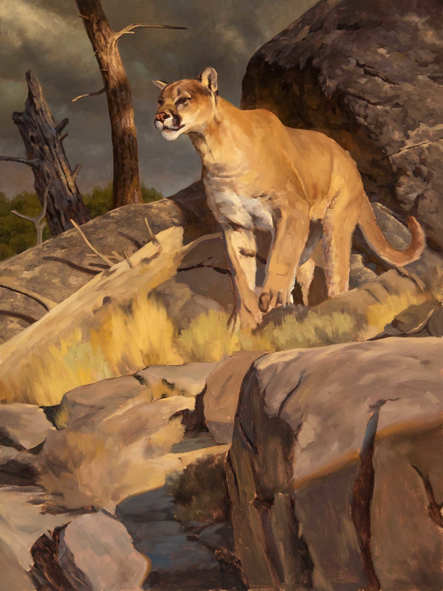 An Artist’s Romance with the Wild - Realism Today