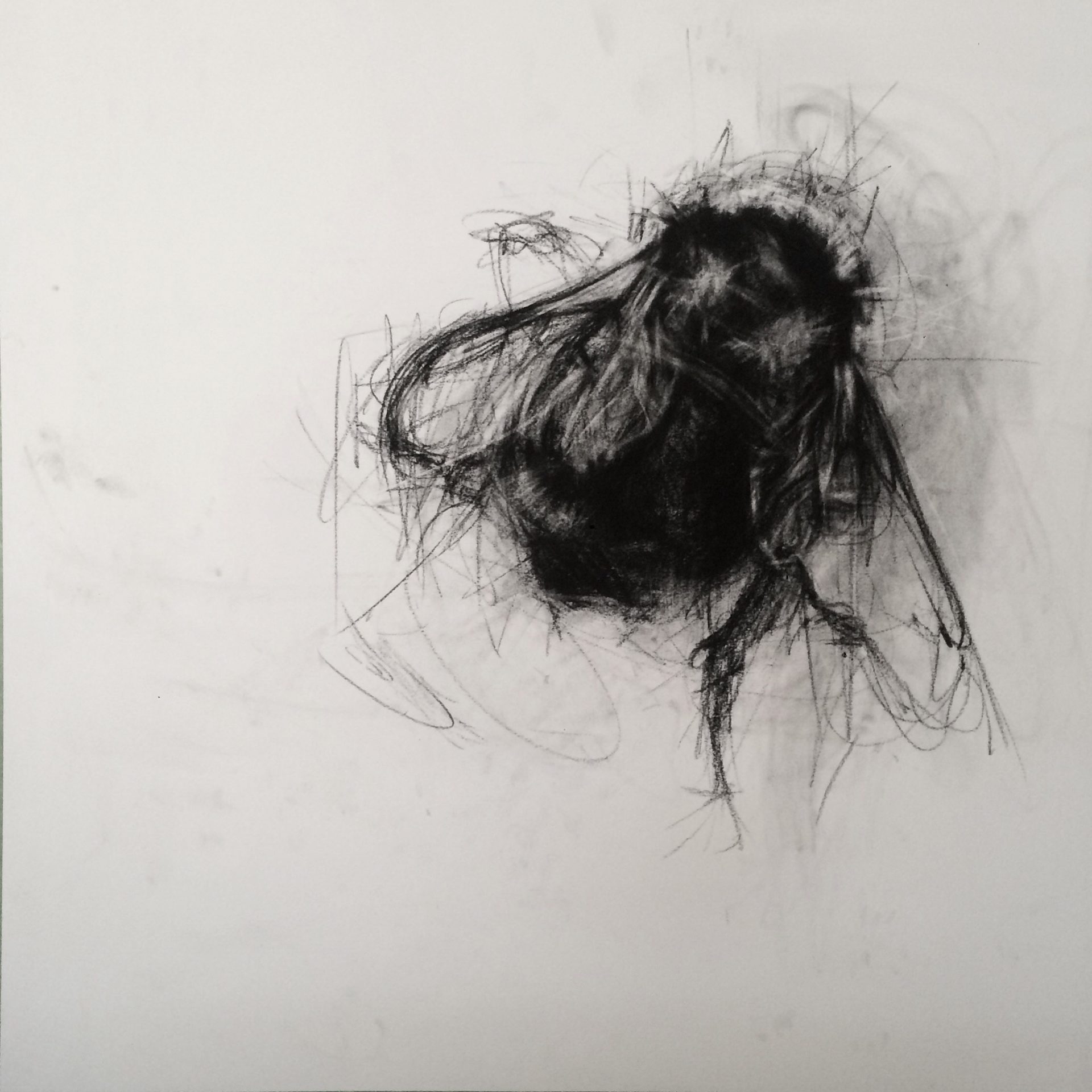 Drawing with Charcoal: Pulling Light From Darkness - Realism Today