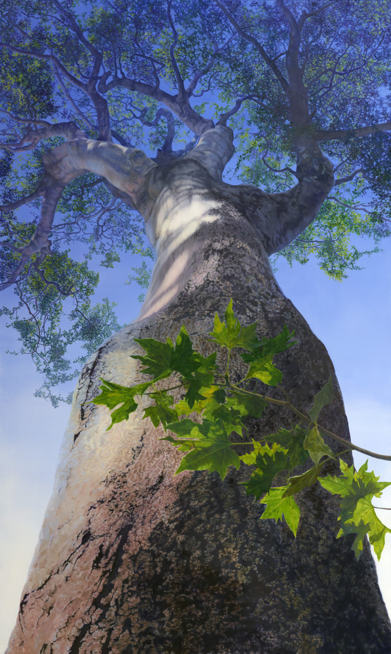 Painting Rare Trees, While She Can - Realism Today