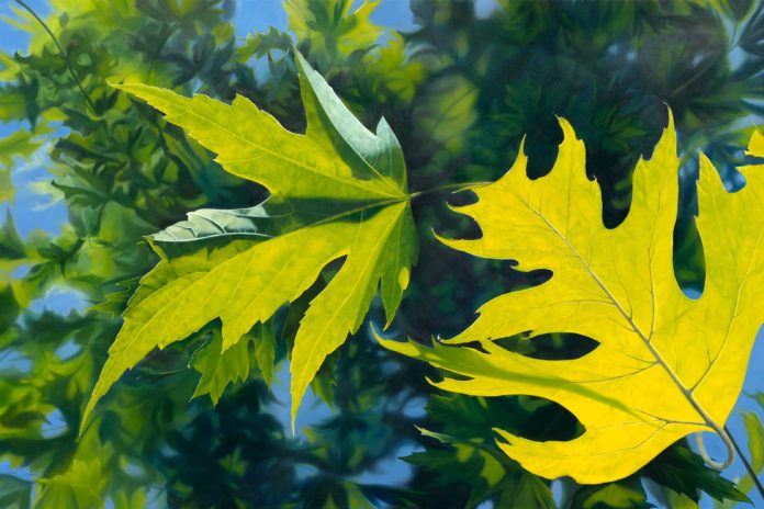 Painting Rare Trees, While She Can - Realism Today