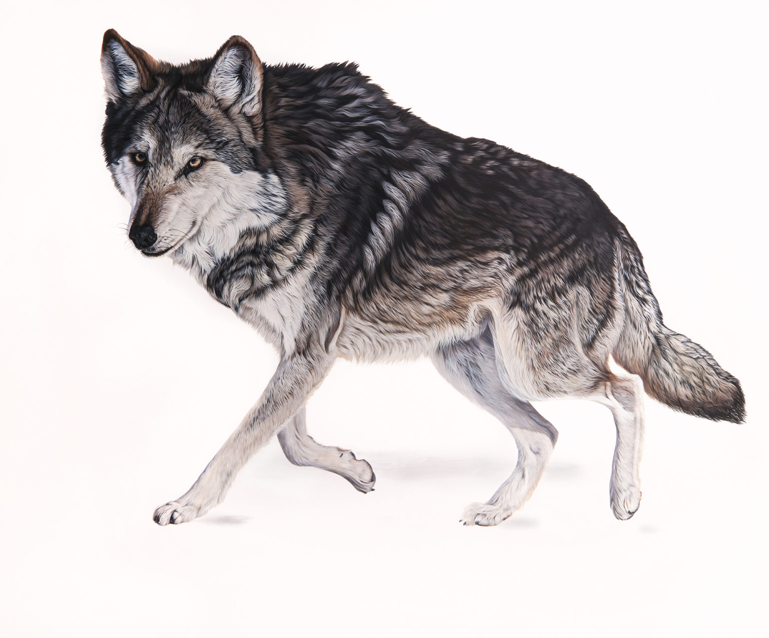 A Driving Force: Realistic Wildlife Portraits - Realism Today