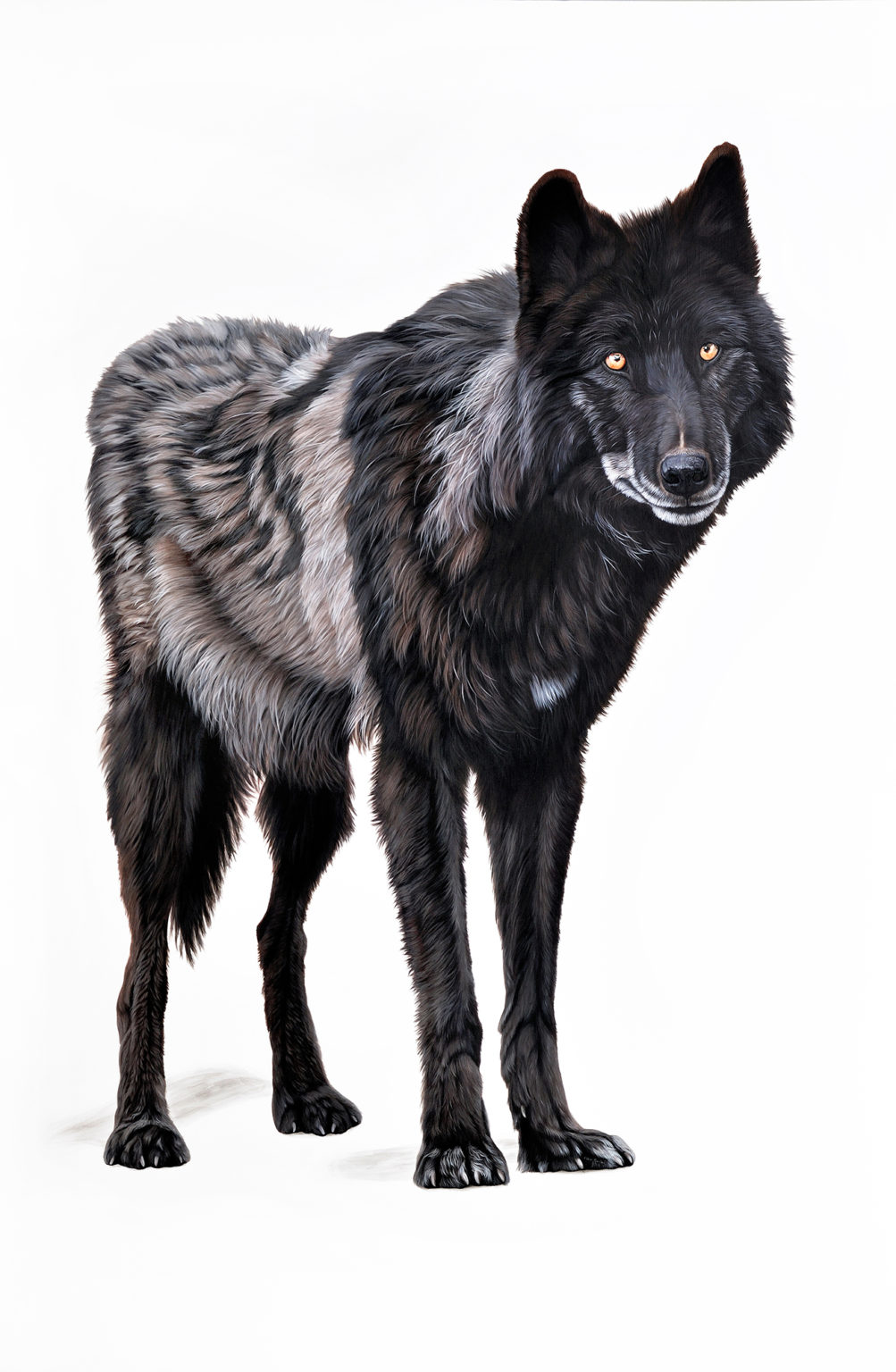 A Driving Force: Realistic Wildlife Portraits - Realism Today