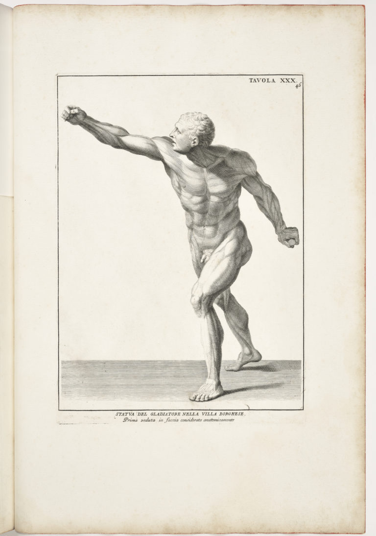 The Art of Anatomy: 16 Anatomical Drawings and Engravings - Realism Today