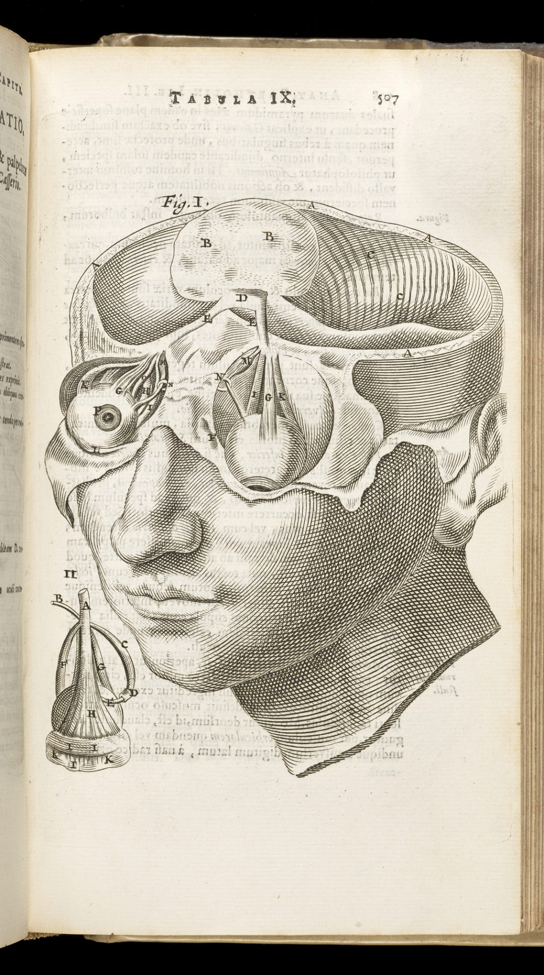 The Art of Anatomy: 16 Anatomical Drawings and Engravings - Realism Today