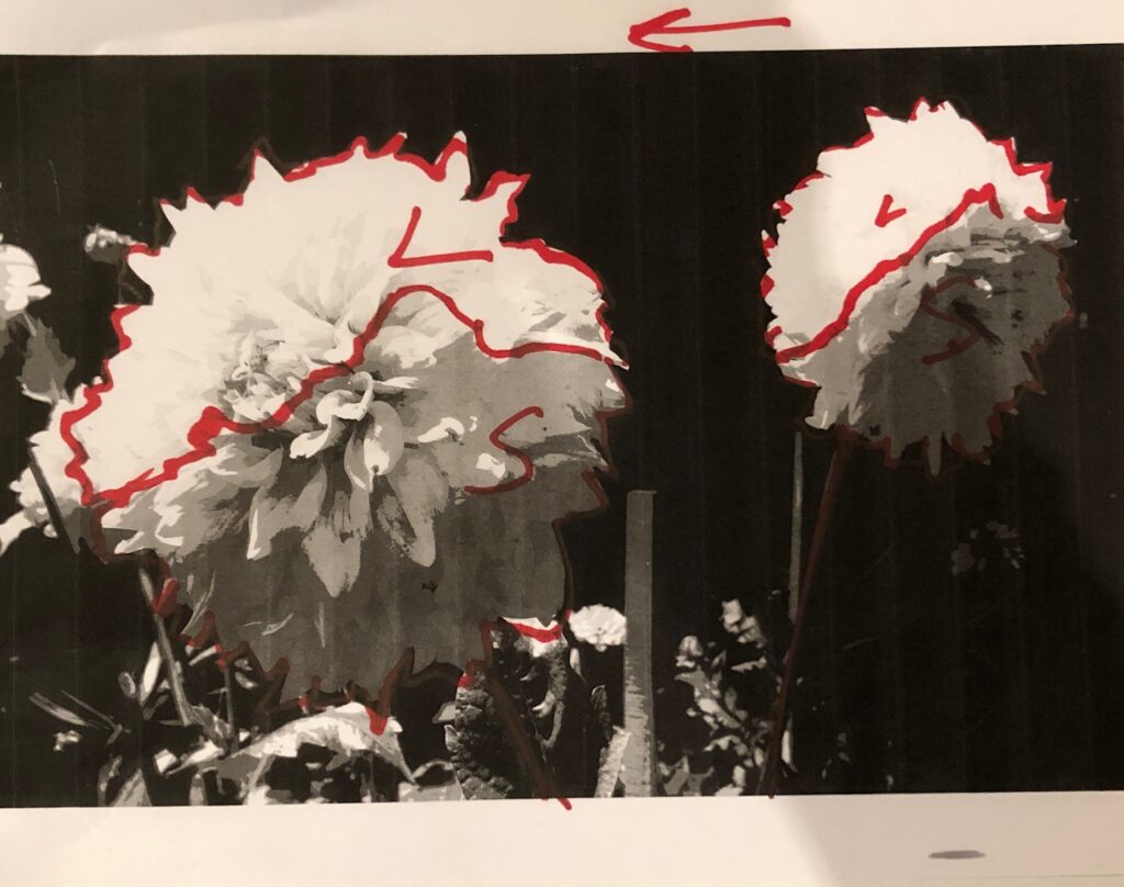 5 Tips for Simplifying Flowers - Realism Today