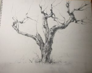 Thoughts on Drawing in the Classical Tradition - Realism Today