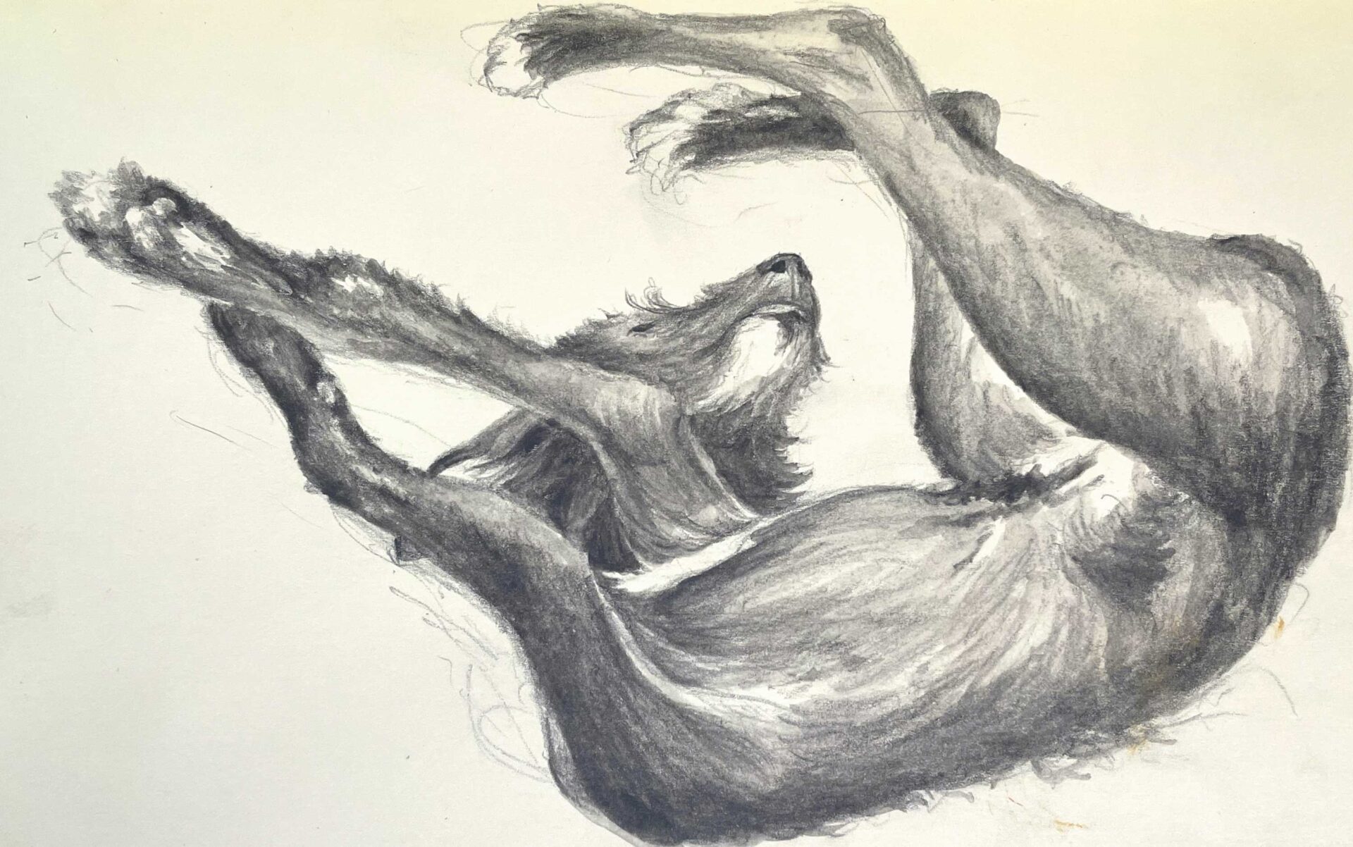 9 Realistic Drawings for Your Art Inspiration - Realism Today