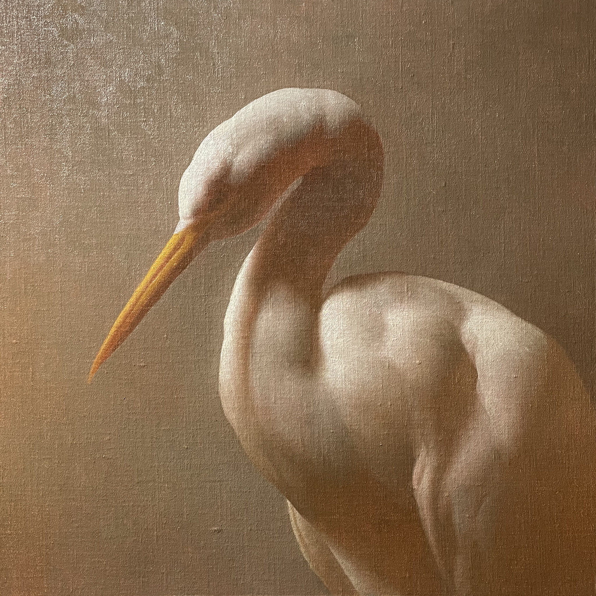 Portrait of an Egret: Step by Step - Realism Today