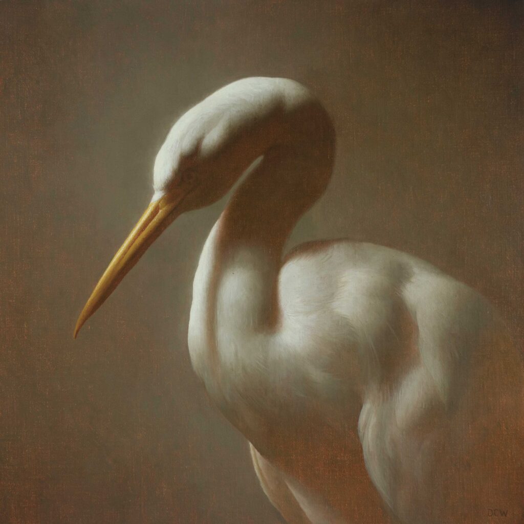 Portrait of an Egret: Step by Step - Realism Today