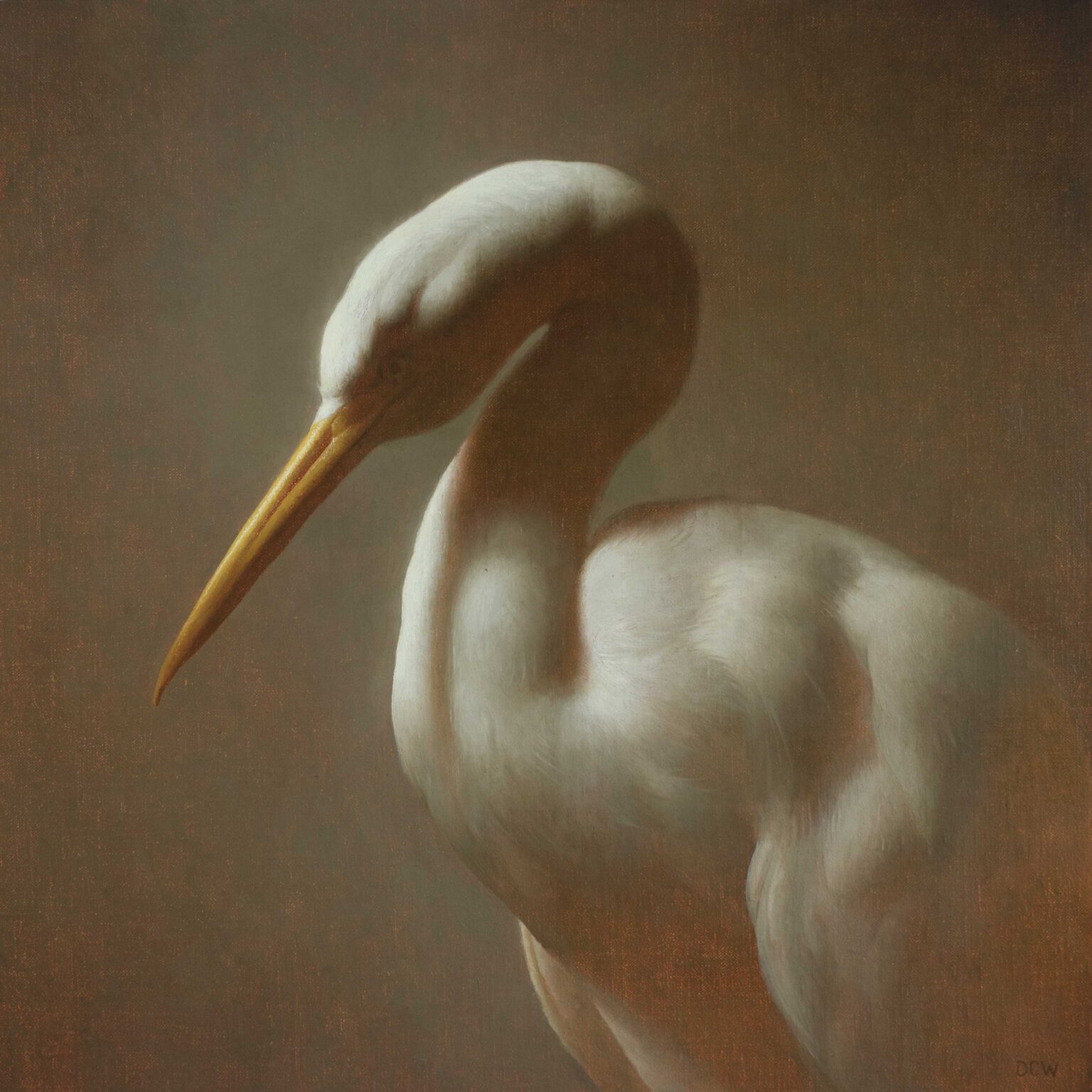 Portrait of an Egret: Step by Step - Realism Today